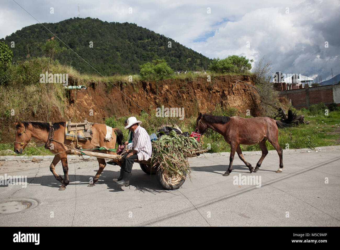 Pueblo corn hi-res stock photography and images - Alamy