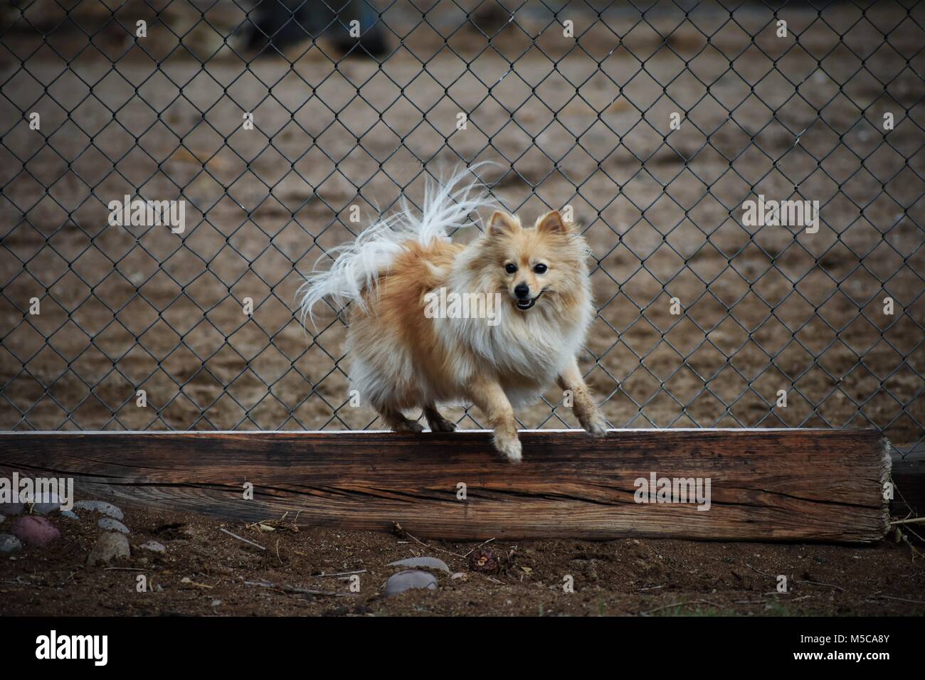 Action awe hi-res stock photography and images - Alamy