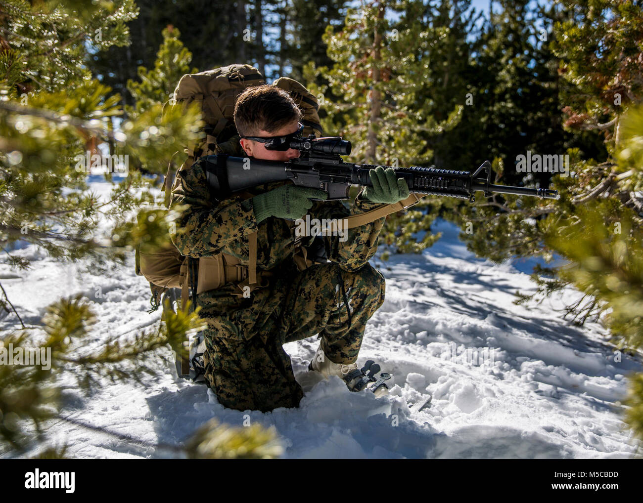 U.S. Marine Corps Pfc. Joseph M. Miskiewicz, a tactical transmission ...