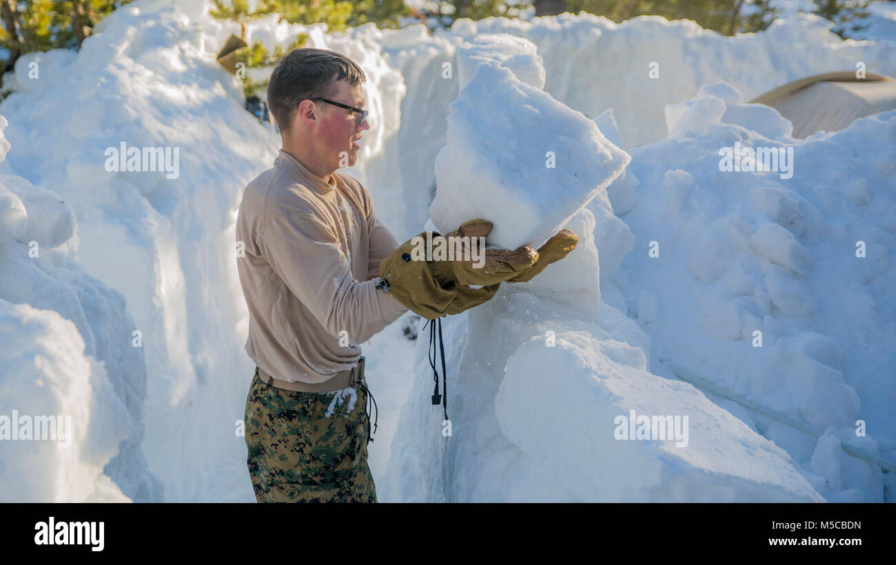 U.S. Marine Corps Lance Cpl. Tyler L. Fall, a low altitude air defense ...