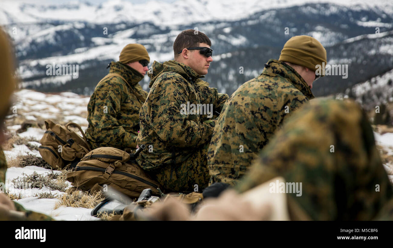 U.S. Marines with Alpha Battery, 2nd Low Altitude Air Defense (LAAD ...