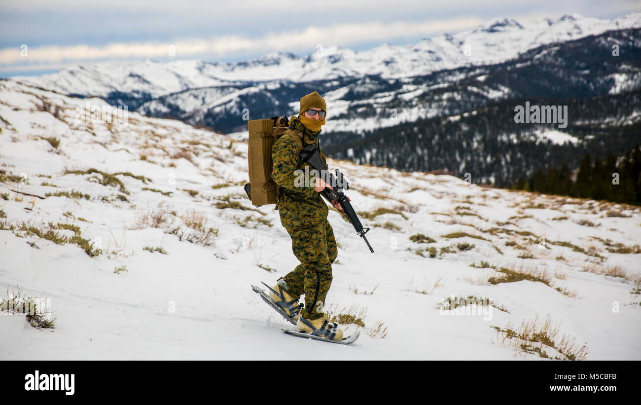 2nd network battalion hi-res stock photography and images - Alamy