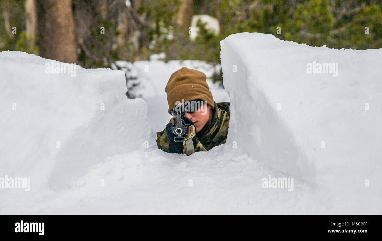 U.S. Marine Corps Pfc. Michael T. Merrell, a low altitude air defense ...