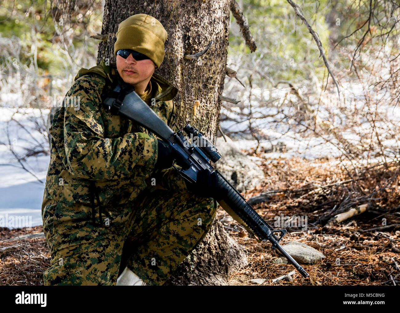 2nd laad battalion hi-res stock photography and images - Alamy