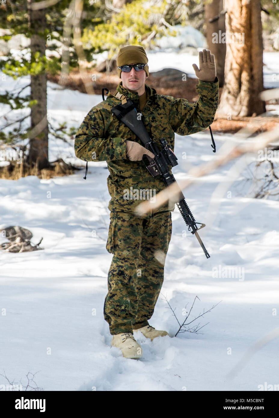 Cyber defense exercise hi-res stock photography and images - Alamy