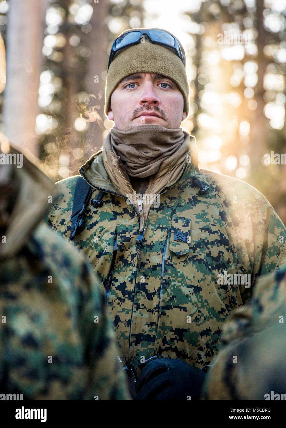 U.S. Marine Corps Sgt. Michael P. Nolen, a low altitude air defense ...