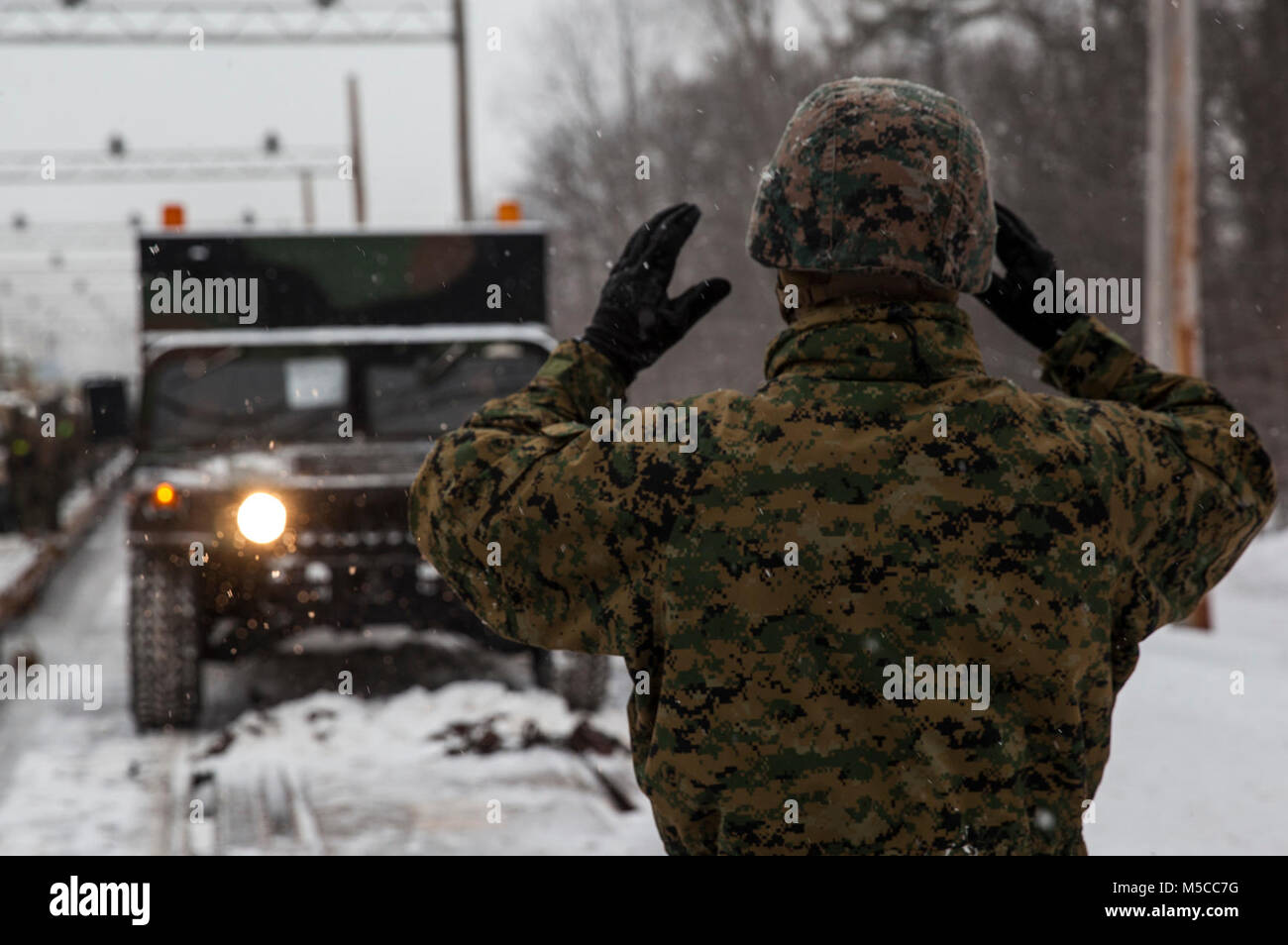 A U.S. Marine with 2d Combat Engineer Battalion (CEB), 2d Marine ...