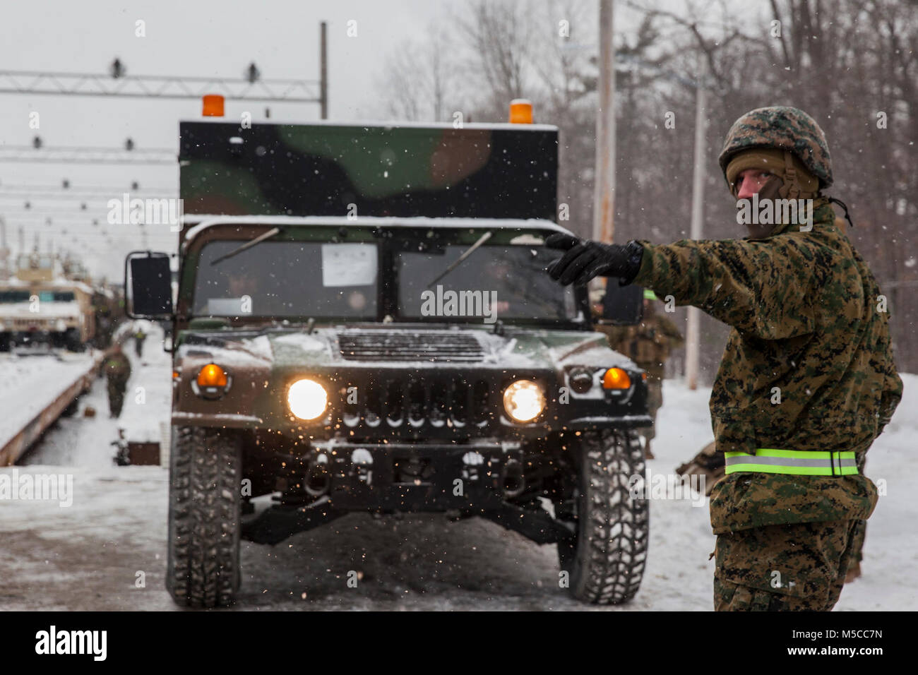 A U.S. Marine with 2d Combat Engineer Battalion (CEB), 2d Marine ...