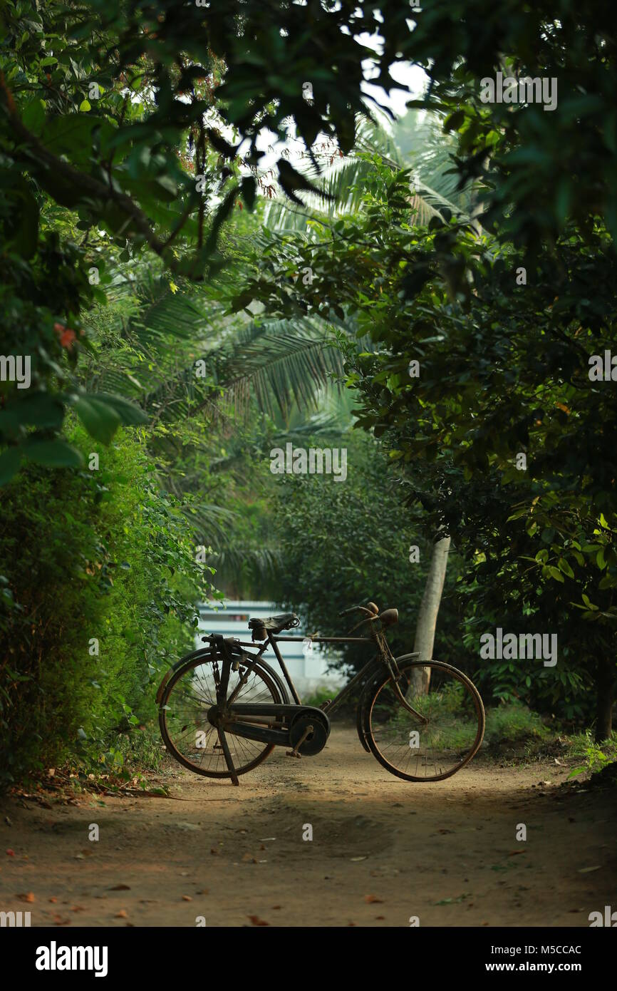 Life cycle in nature hi-res stock photography and images - Alamy