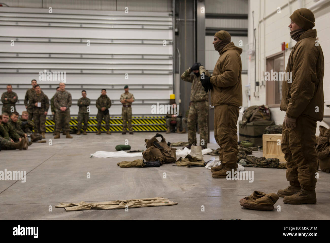 U.S. Marines with 2d Combat Engineer Battalion (CEB), 2d Marine ...