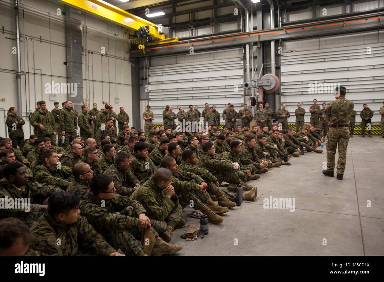 U.S. Marines with 2d Combat Engineer Battalion (CEB), 2d Marine ...