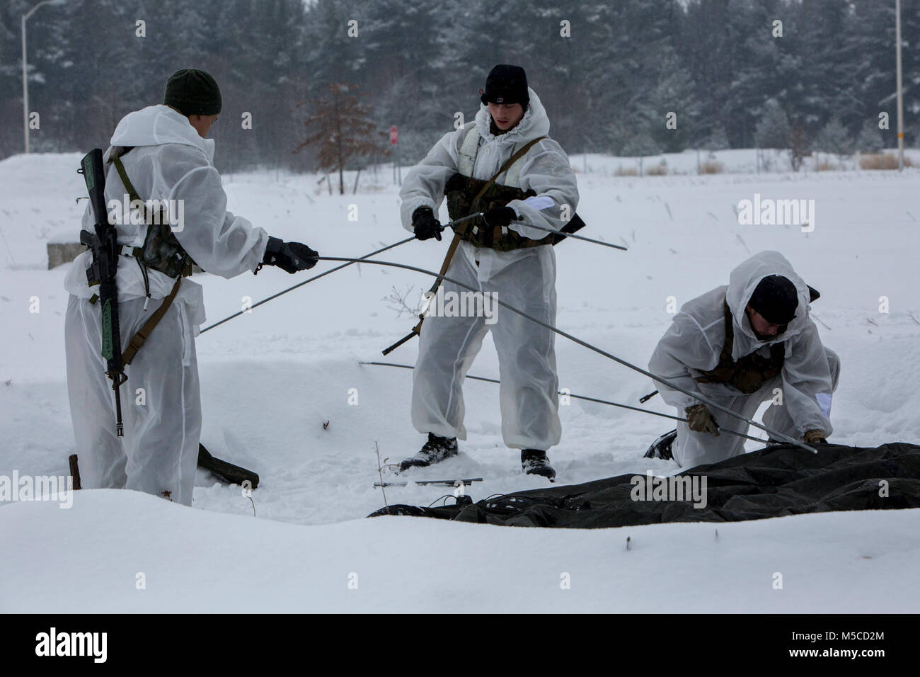 British Royal Marines with 2/4 Commando Regiment, prepare a tent site ...