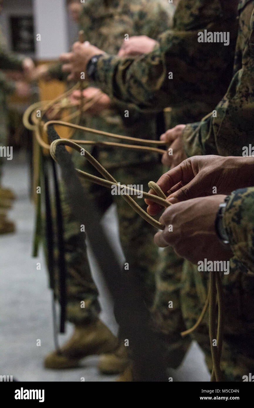 U.S. Marines with 2d Combat Engineer Battalion (CEB), 2d Marine ...