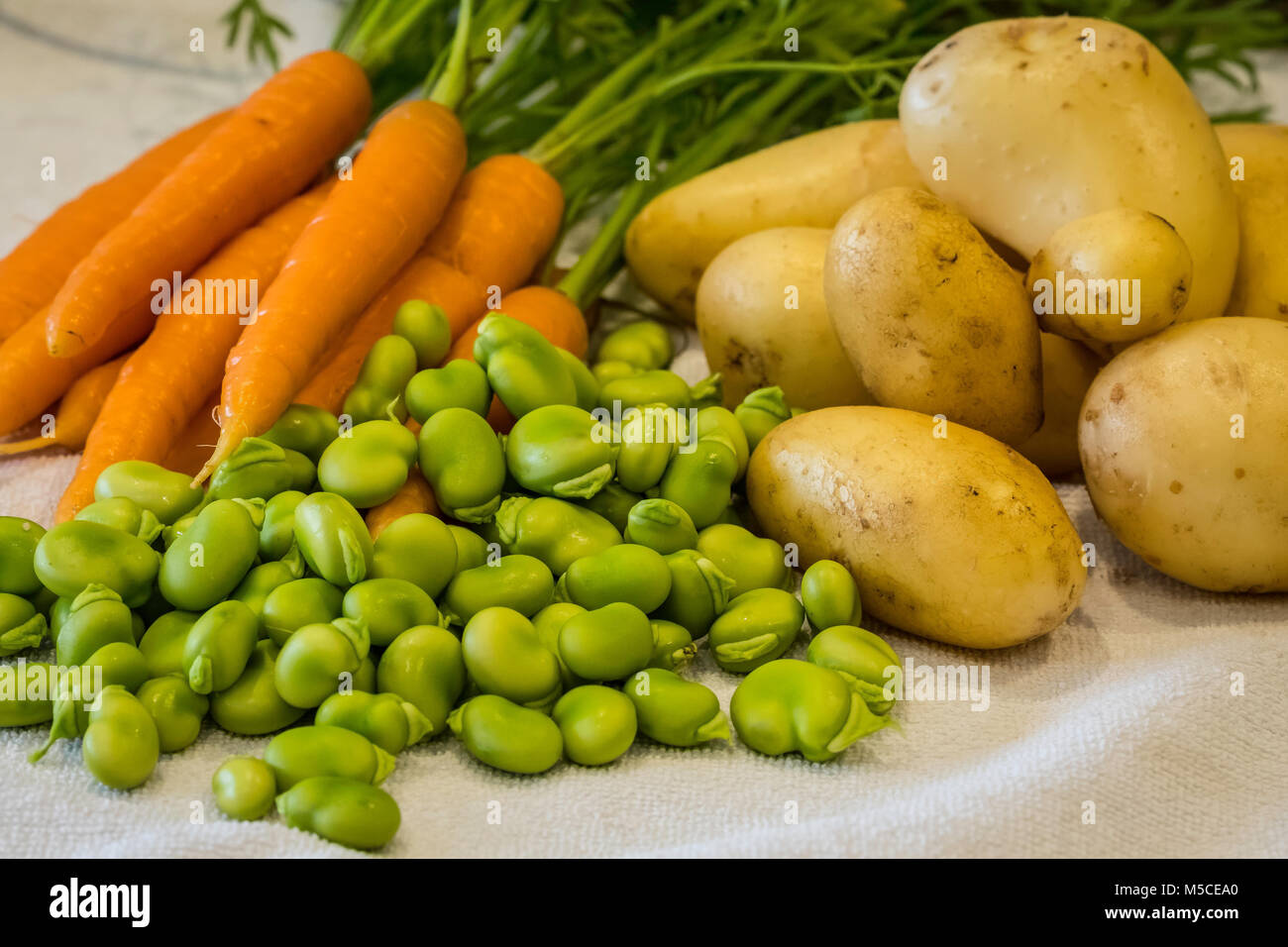 Fresh vegetables from the garden ready to cook Stock Photo - Alamy