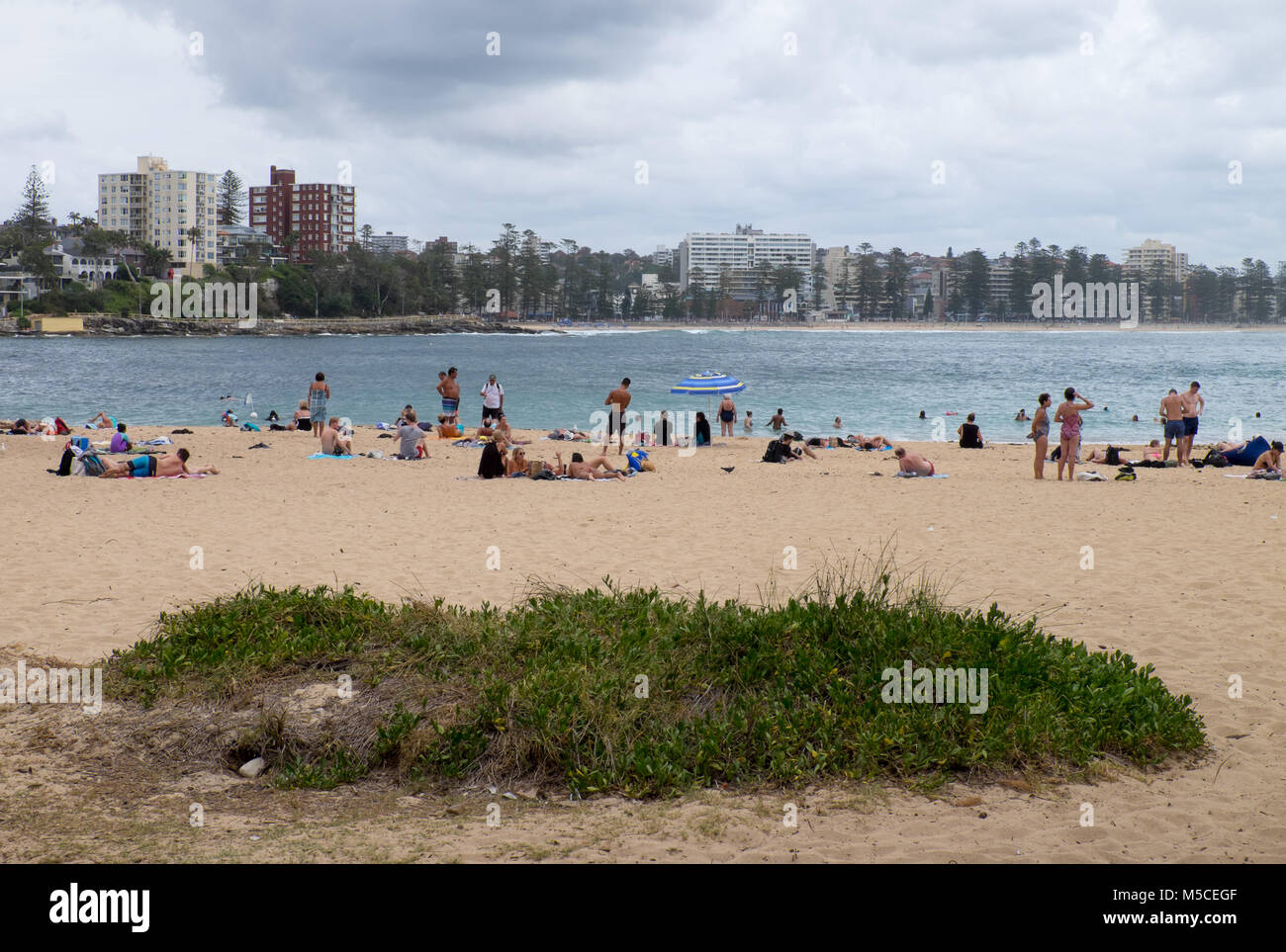 Manly beach as seen from Shelly Beach Stock Photo - Alamy