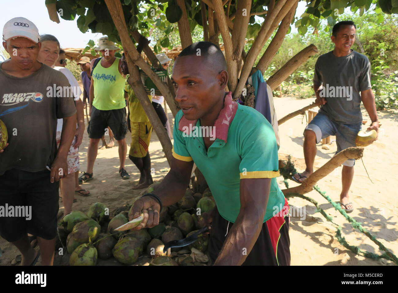 Native local human sell coconuts to tourists at riverside of ...