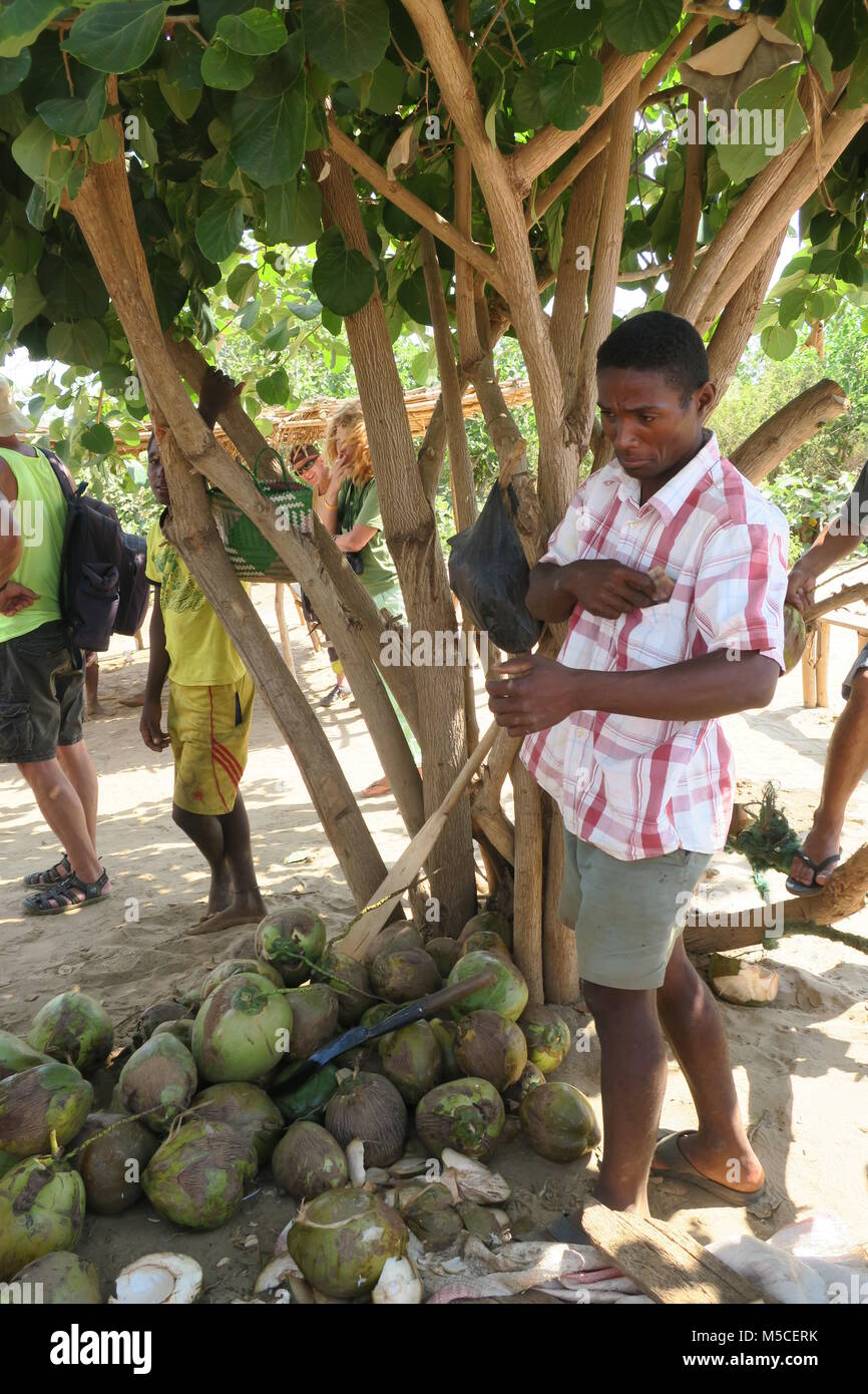 Native local human sell coconuts to tourists at riverside of ...
