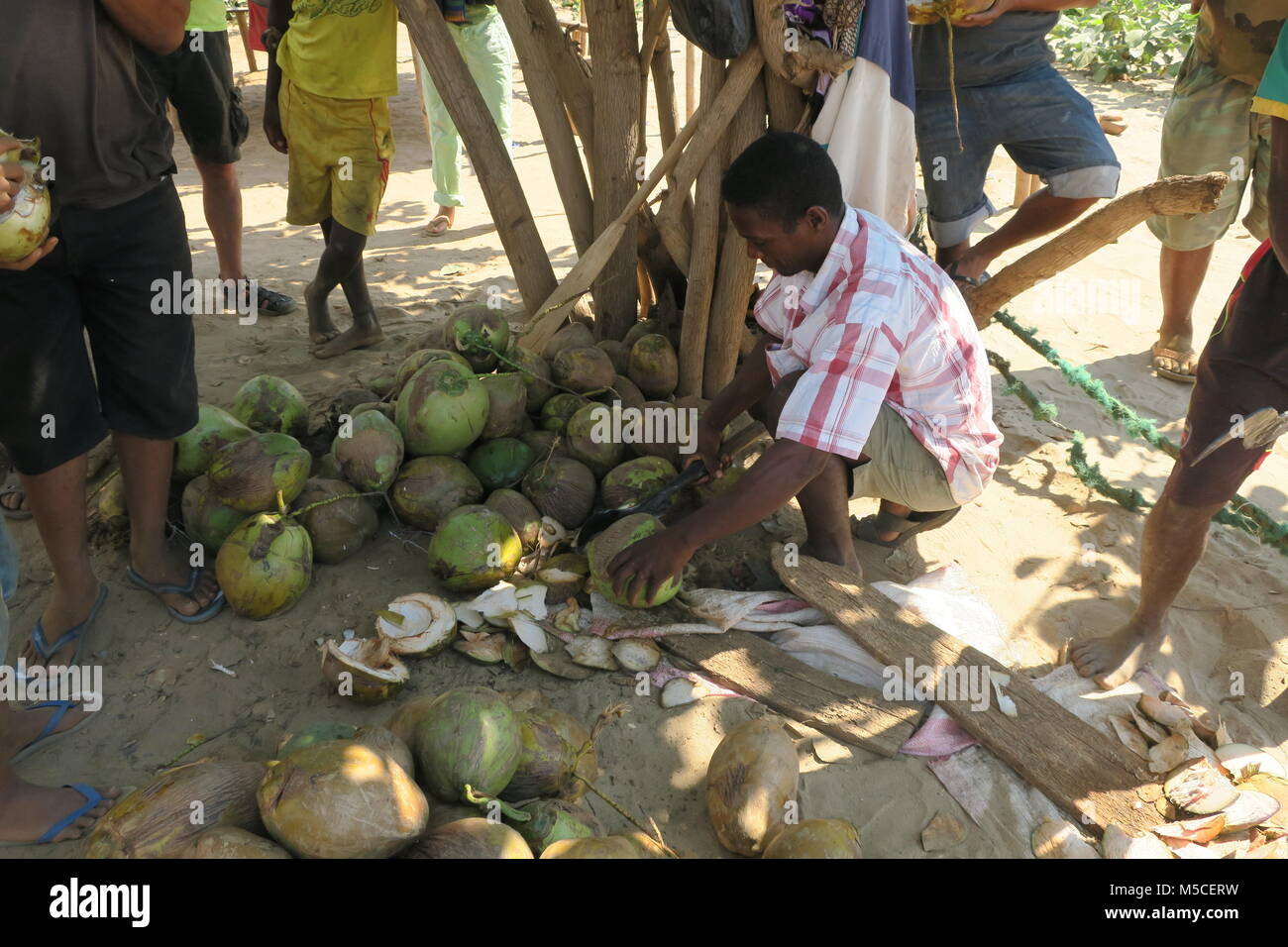 Native local human sell coconuts to tourists at riverside of ...