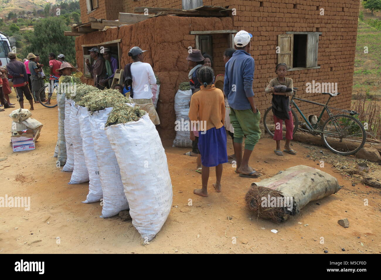 Kind Malagasy native, countryside of Madagascar Stock Photo - Alamy