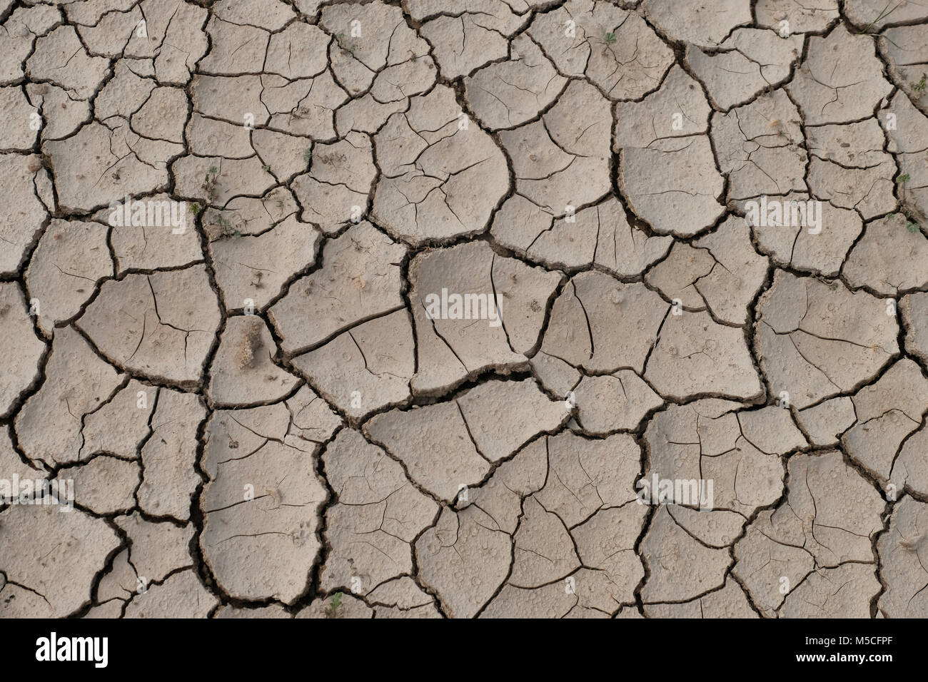 Cracked mud in the Jordan valley Israel Stock Photo - Alamy