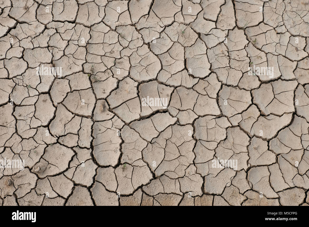 Cracked mud in the Jordan valley Israel Stock Photo - Alamy
