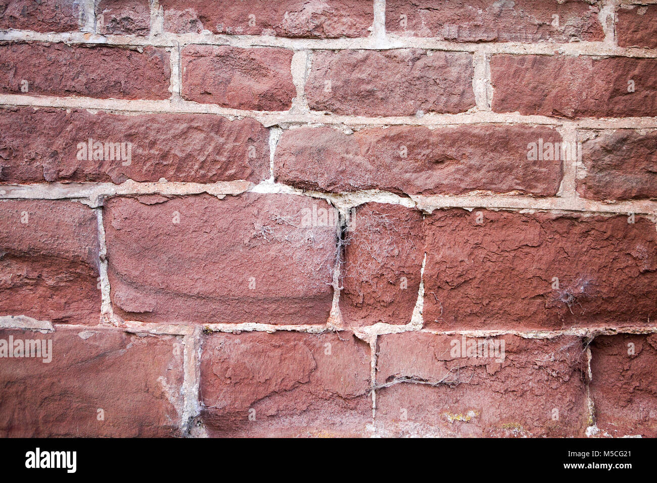 One of (40) images in this set related to texture, pattern, red ...