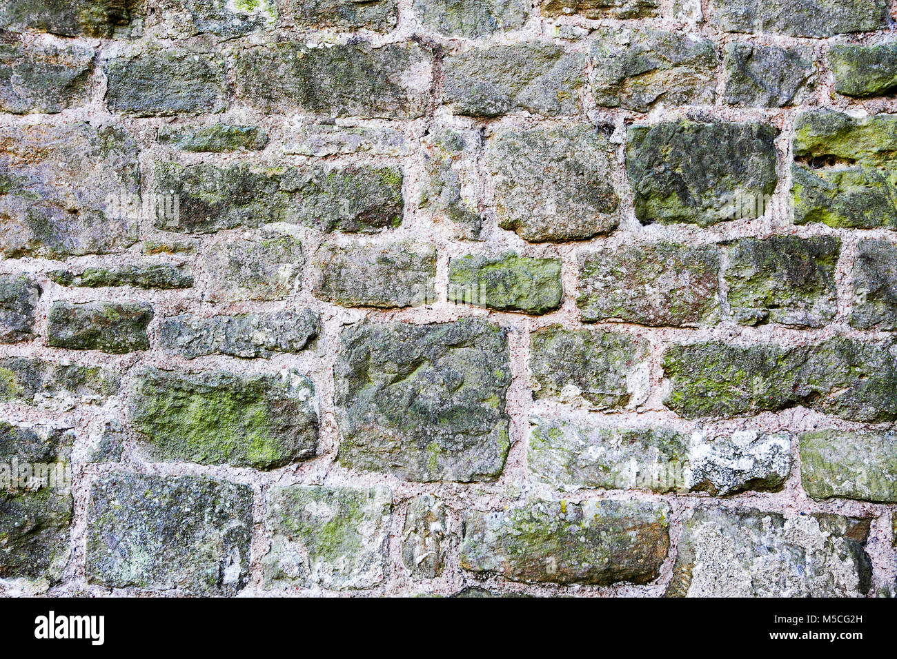 One of (40) images in this set related to texture, pattern, red ...