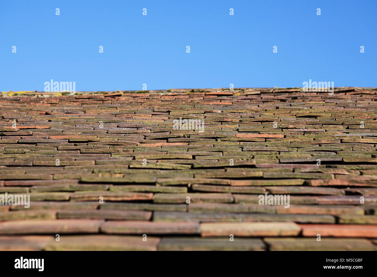 One of (40) images in this set related to texture, pattern, red ...