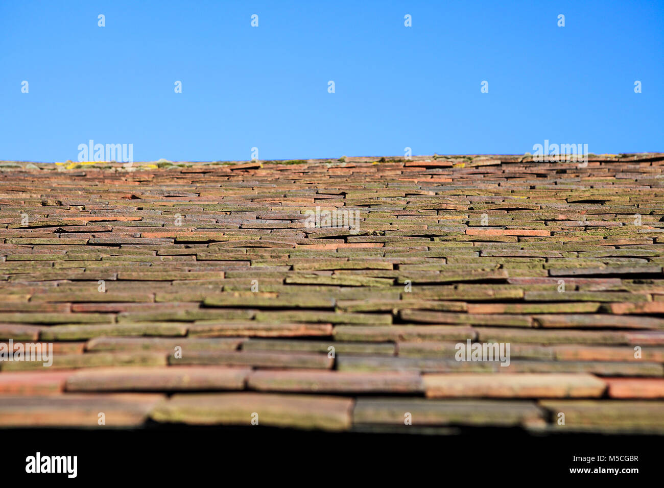One of (40) images in this set related to texture, pattern, red ...