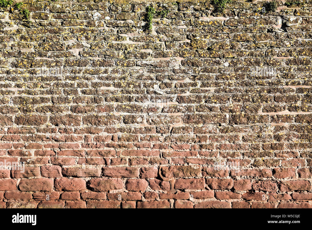 One of (40) images in this set related to texture, pattern, red ...