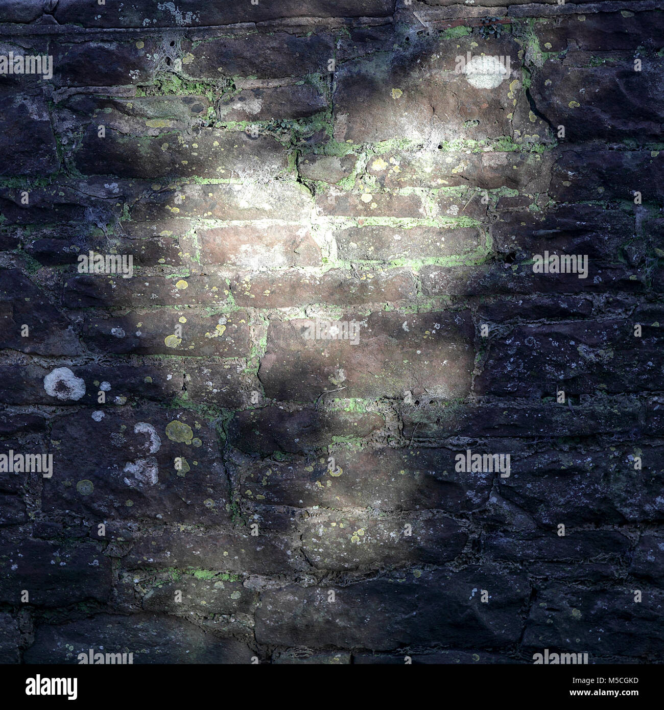One of (40) images in this set related to texture, pattern and ...