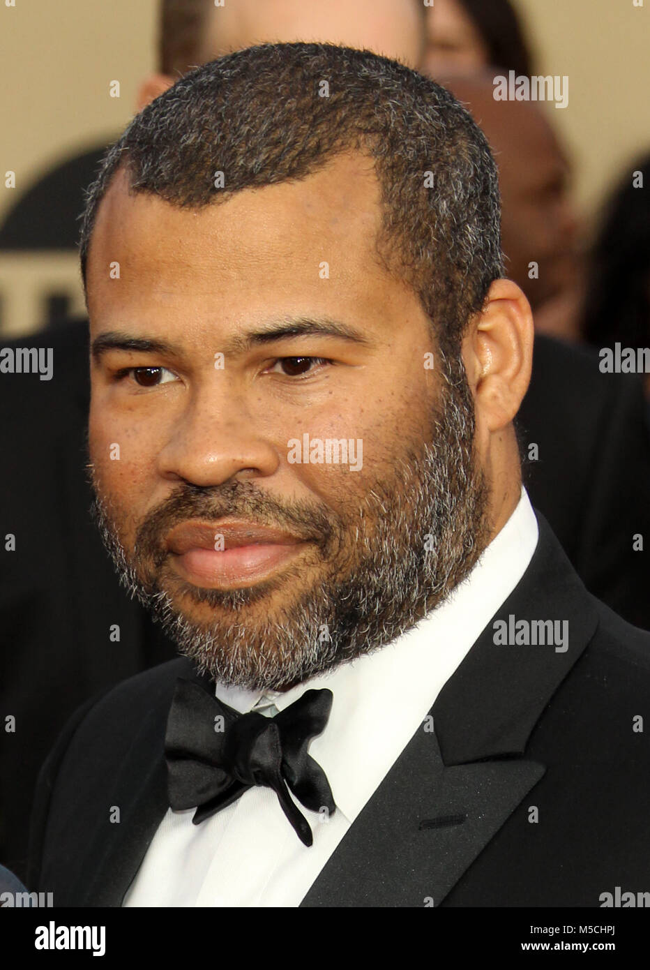 24th Annual Screen Actors Guild (SAGs) Awards 2018 Arrivals held at The ...