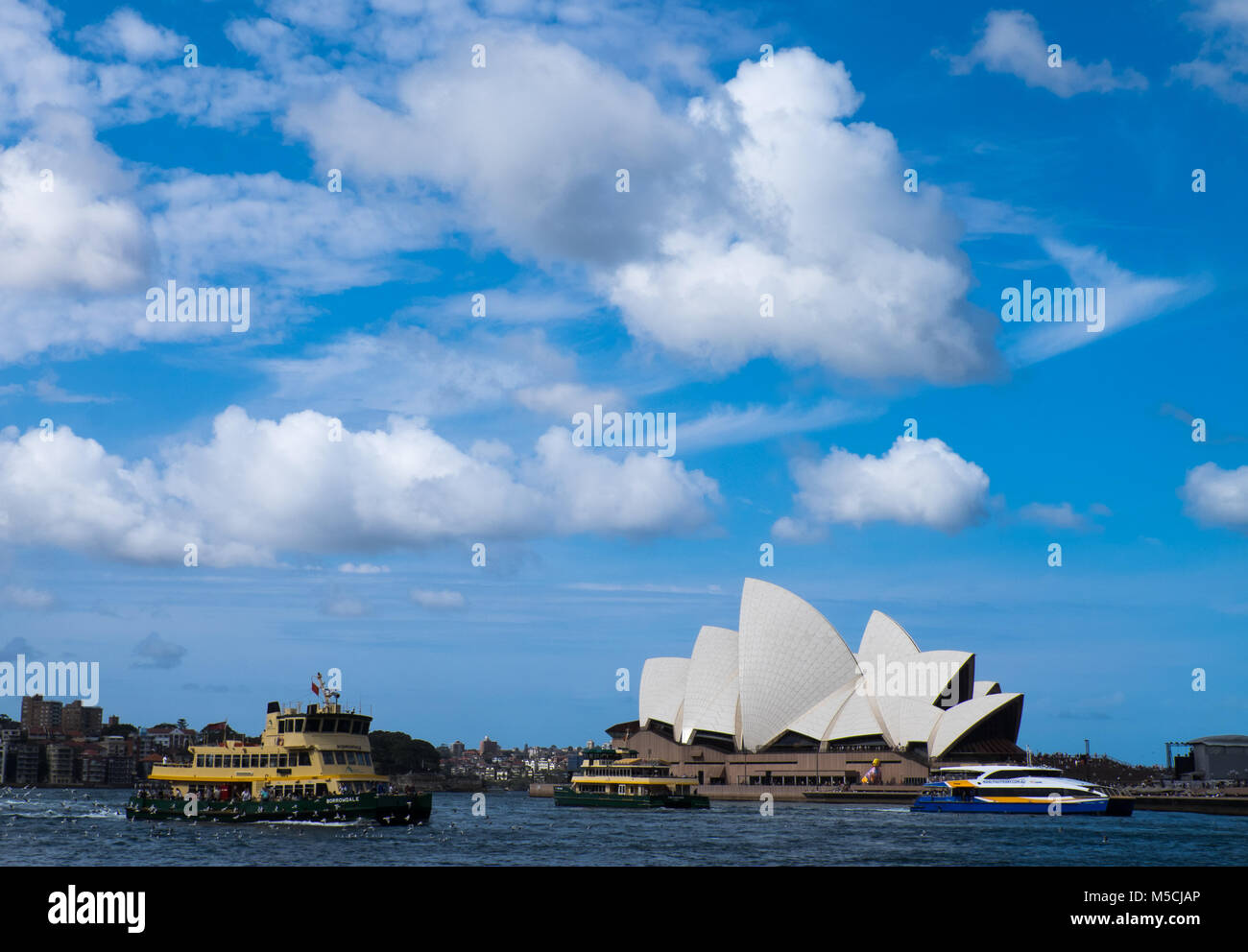 Sydney Opera House with two types of ferry Stock Photo - Alamy