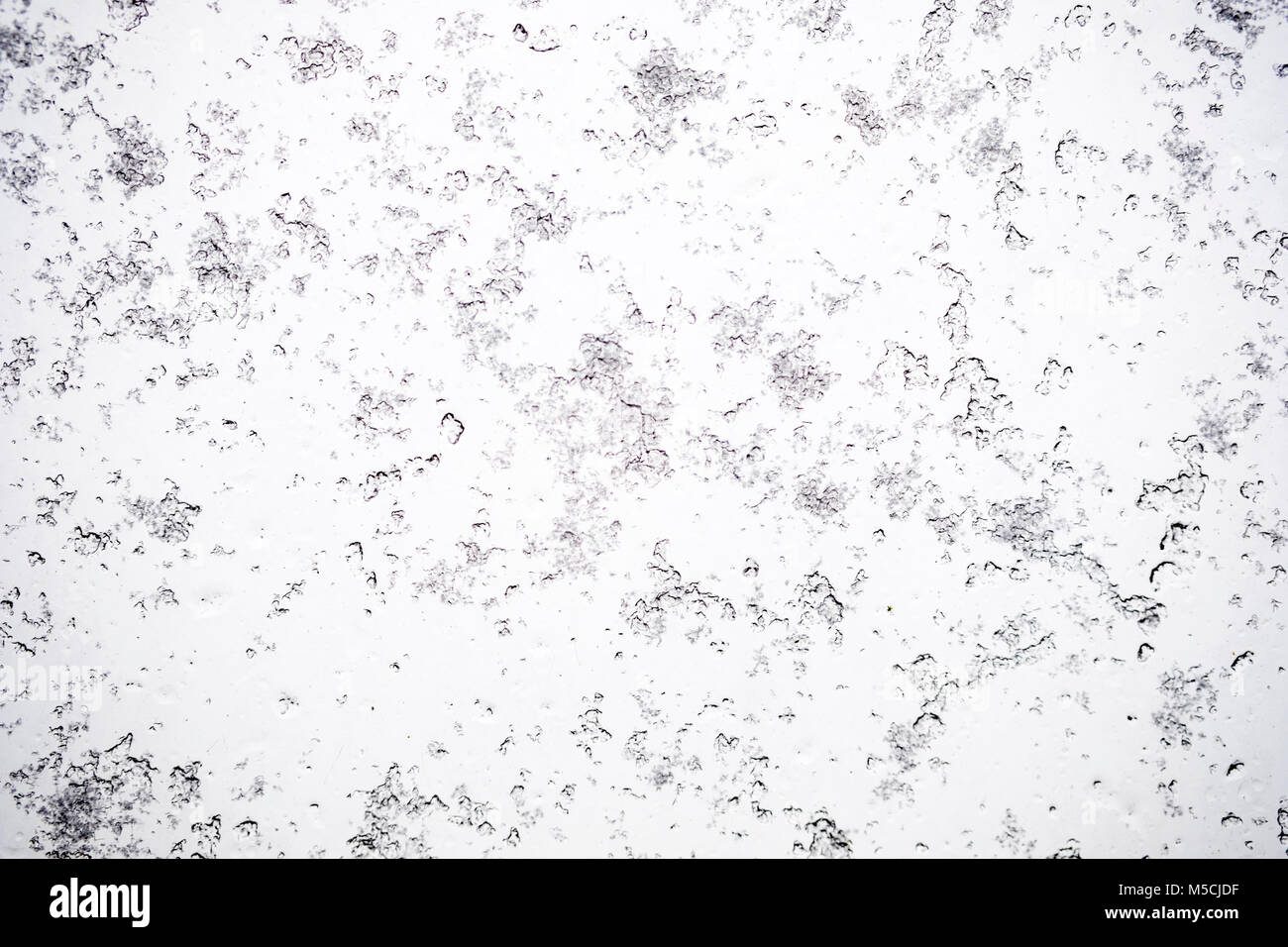 Snow on a windowpane Stock Photo - Alamy