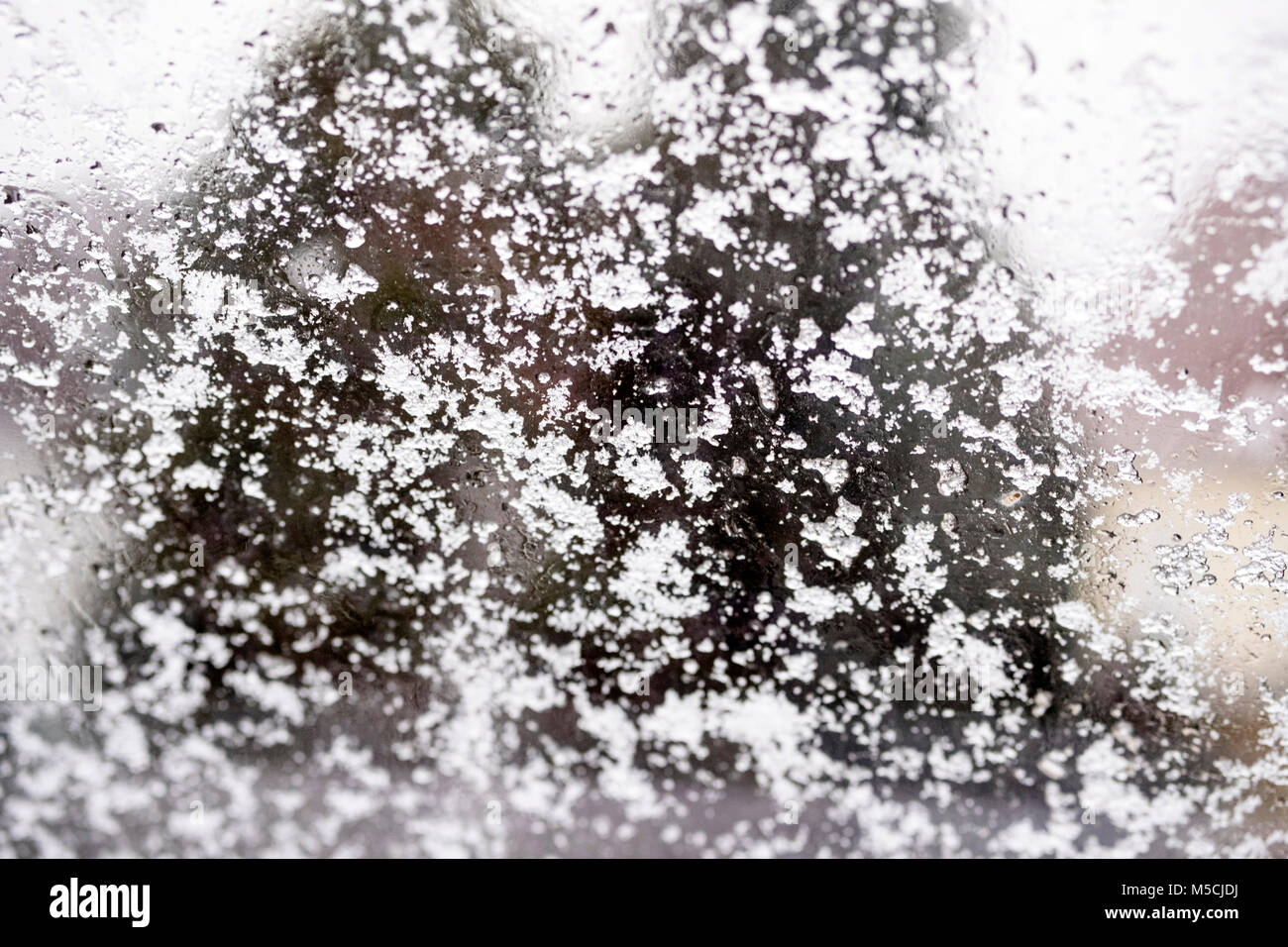 Snow Outside The Window Stock Photos & Snow Outside The Window Stock ...