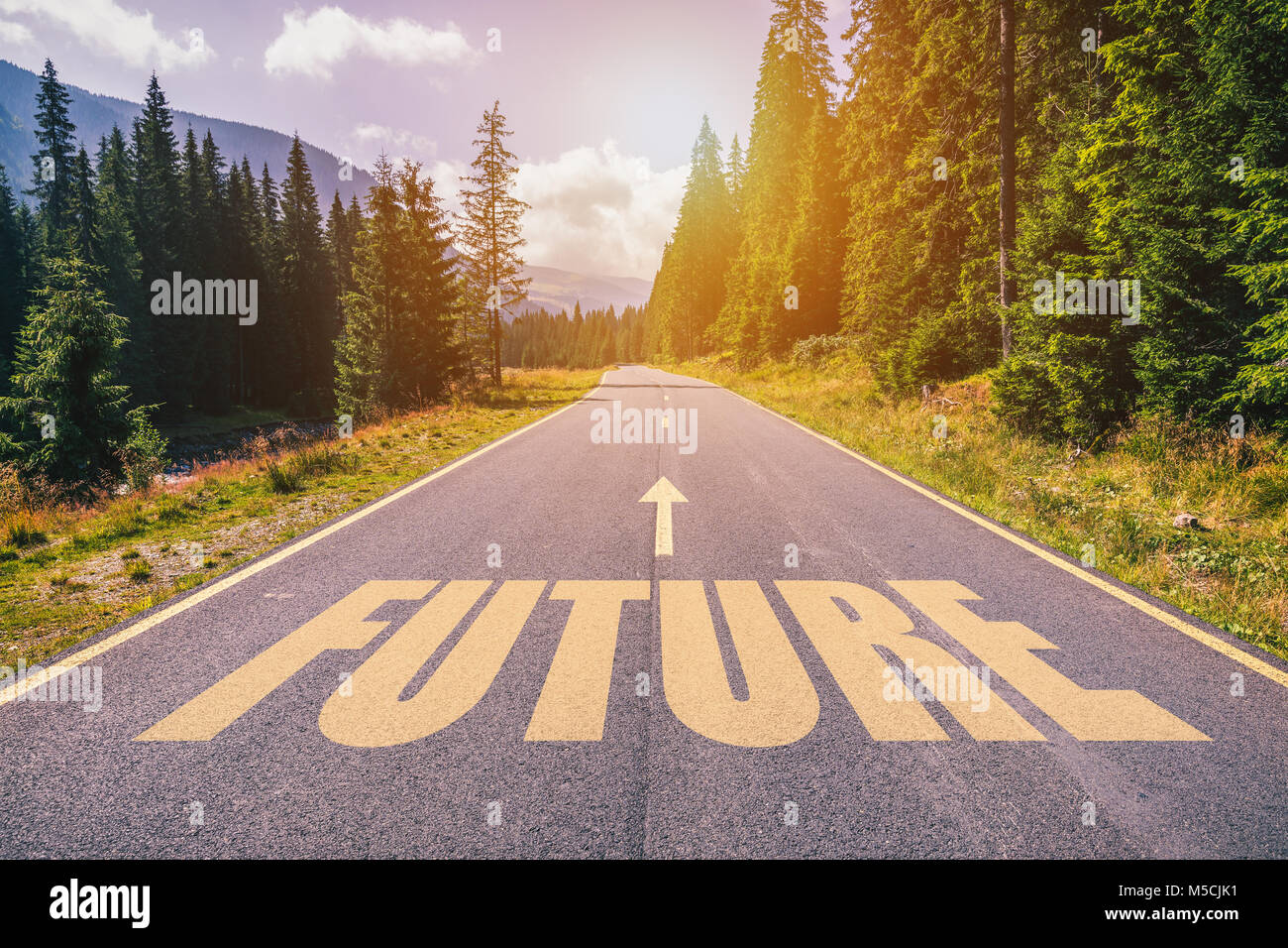 Future text on road against asphalt background in nature Stock Photo ...