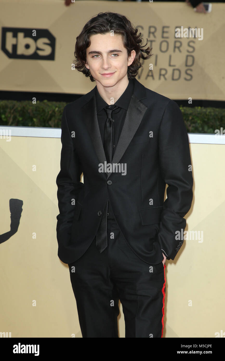 The 24th Annual Screen Actors Guild Awards at The Shrine Auditorium ...