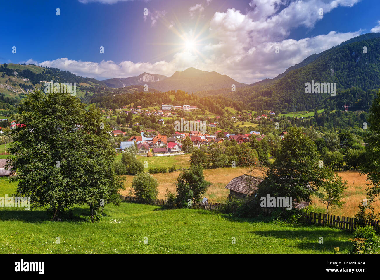 Summer alpine Transylvania landmark, landscape with green fields and ...