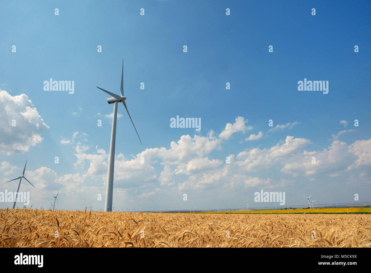 Wind turbines farm on summer field Stock Photo - Alamy
