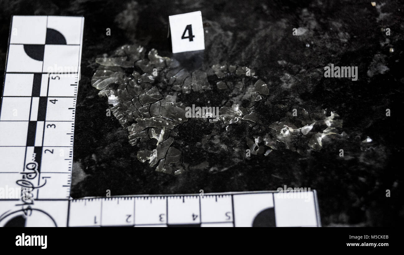 Crime scene forensic evidence hi-res stock photography and images - Alamy