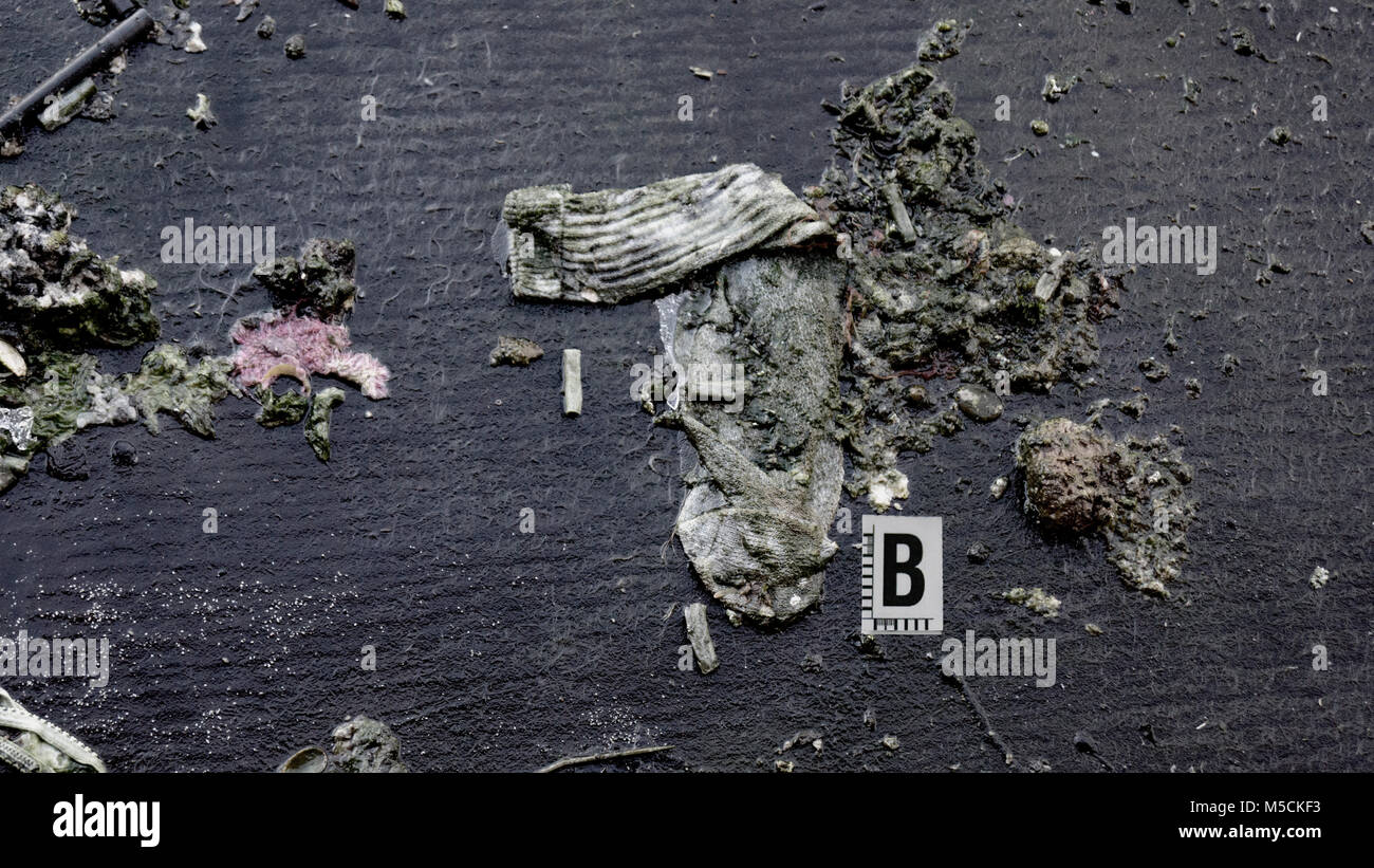 Crime scene reconstruction hi-res stock photography and images - Alamy