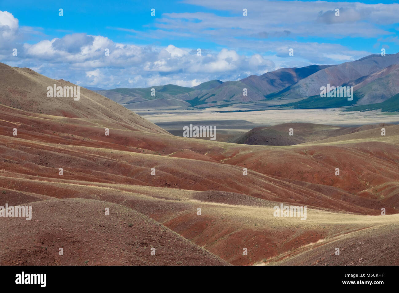 Red soil and Golden grass. Velvet landscape Stock Photo - Alamy