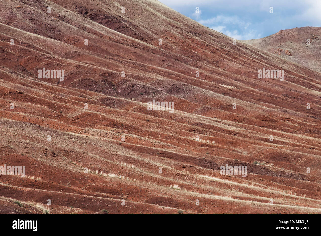 Red soil and Golden grass. Velvet landscape Stock Photo - Alamy