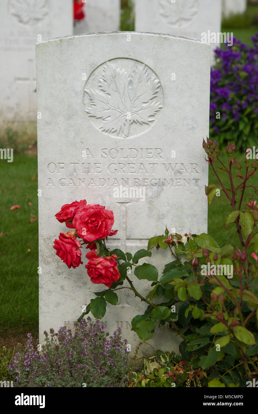 Yorkshire regiment hi-res stock photography and images - Alamy