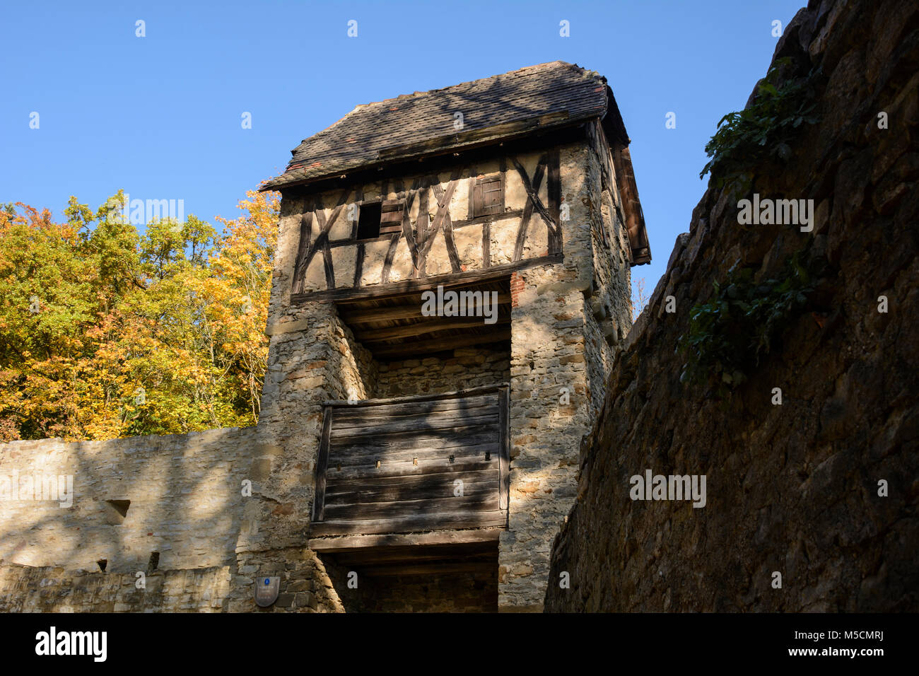 Burg Hornberg, Neckarzimmern, Baden-Württemberg, Deutschland, Europa ...