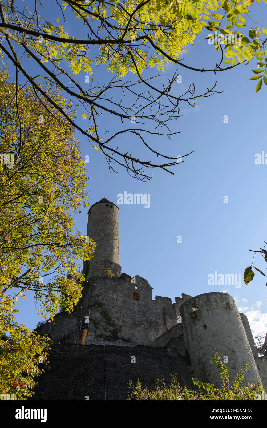 Burg Hornberg, Neckarzimmern, Baden-Württemberg, Deutschland, Europa ...
