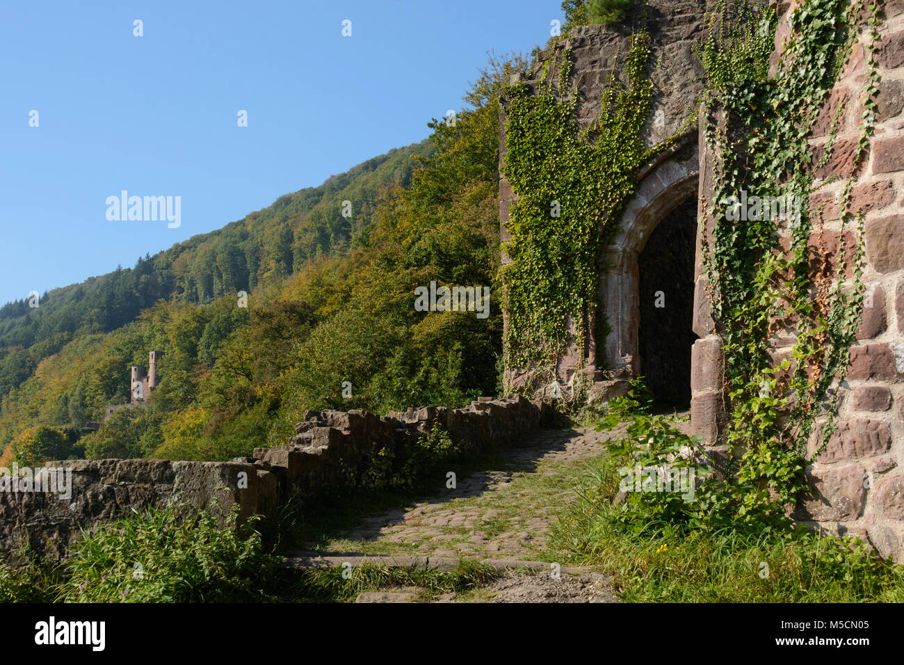 Hinterburg castle hi-res stock photography and images - Alamy