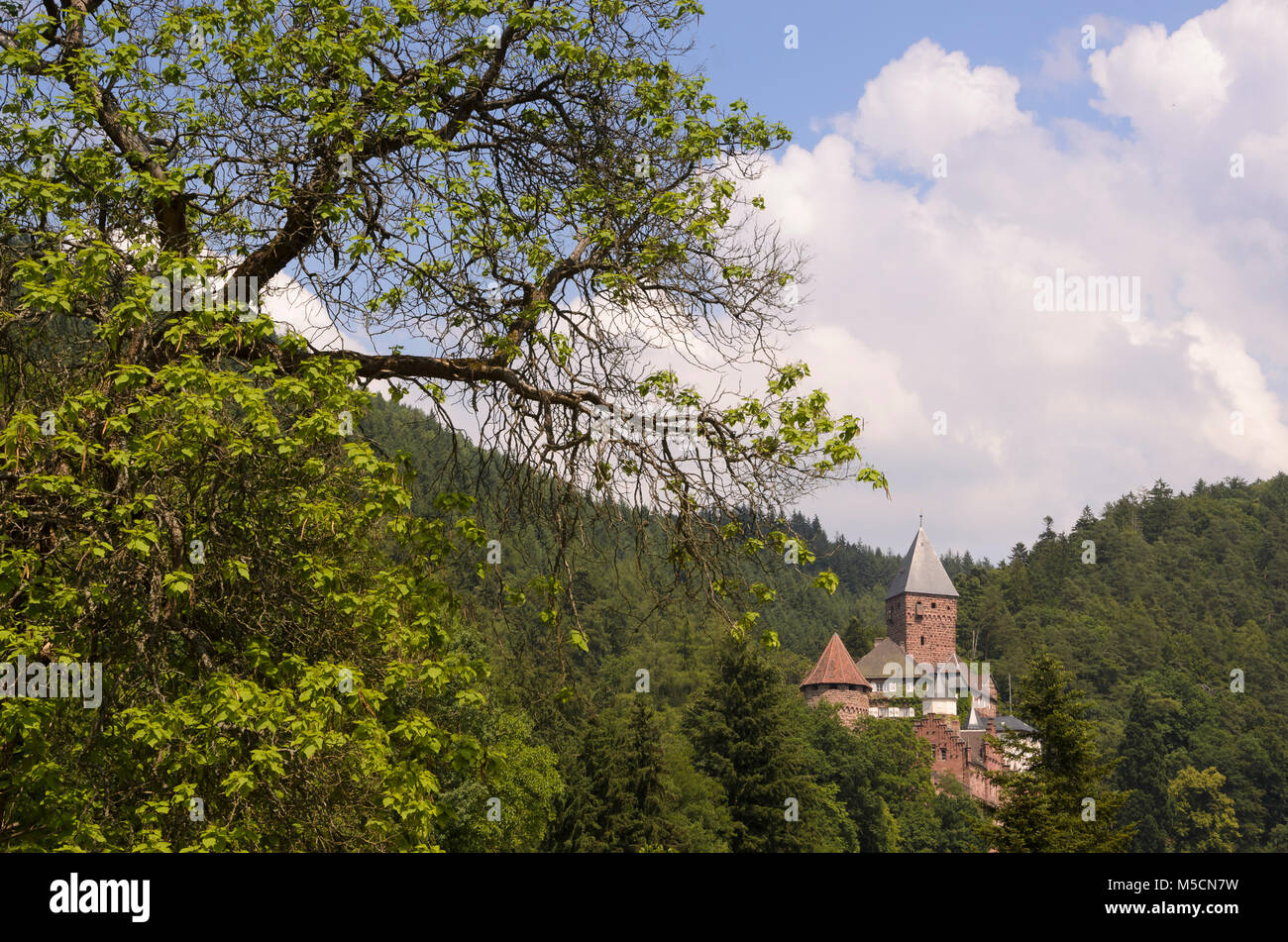 Schloss Zwingenberg, Zwingenberg-Neckar, Baden-Württemberg, Deutschland ...