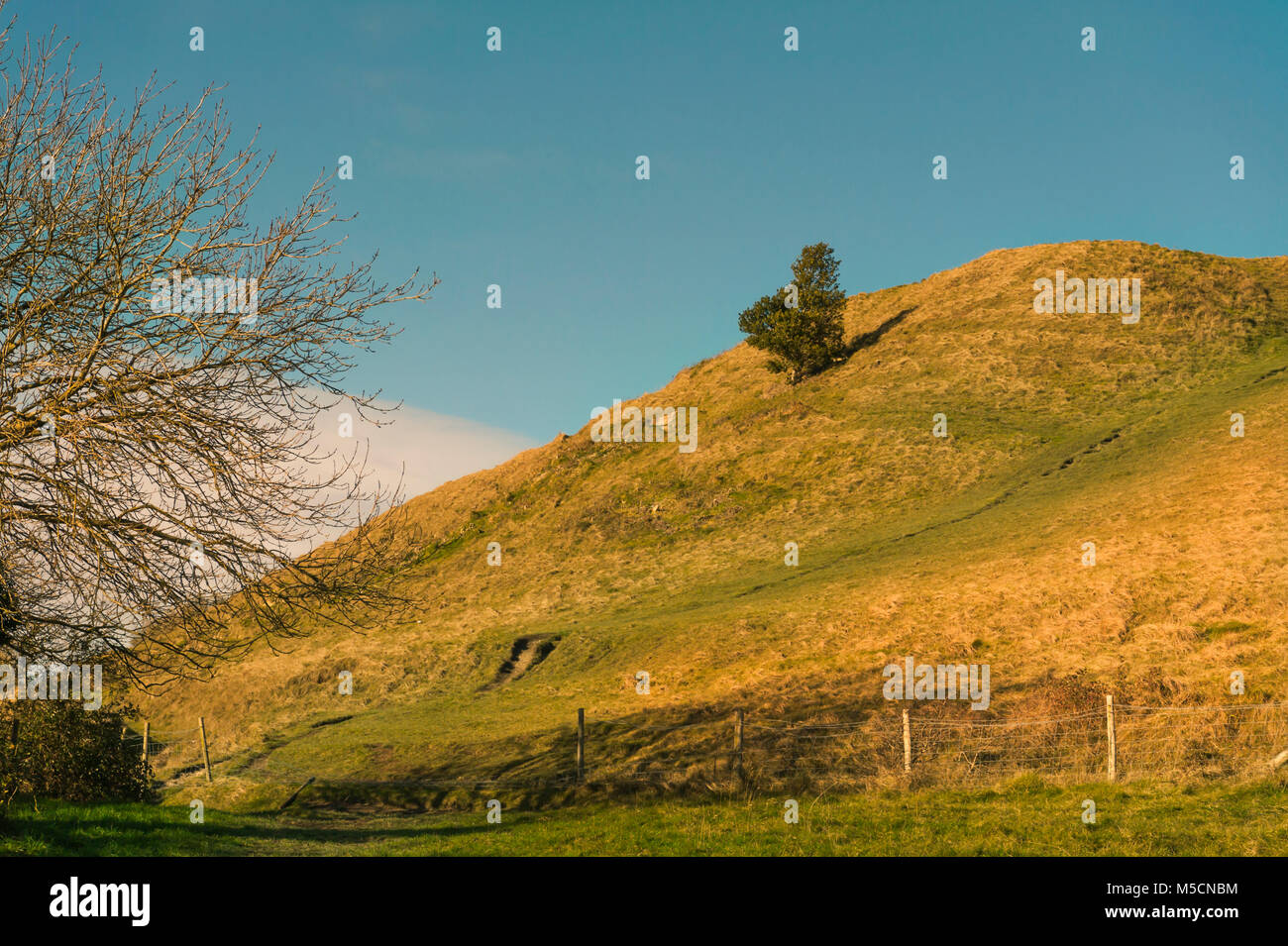 Warminster - Wiltshire- UK- Countryside Stock Photo - Alamy