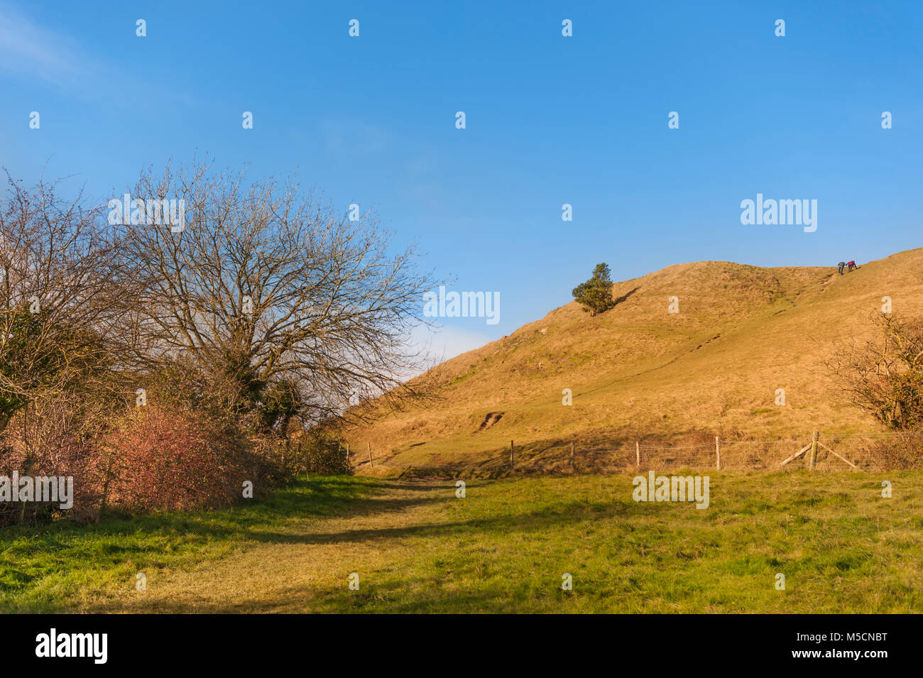 Wiltshire warminster uk hi-res stock photography and images - Alamy